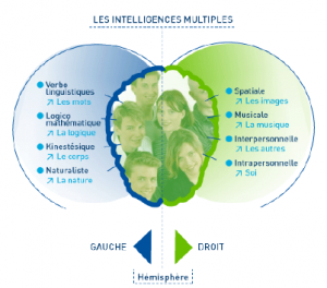 A. Du côté de la littérature sur l’intelligence