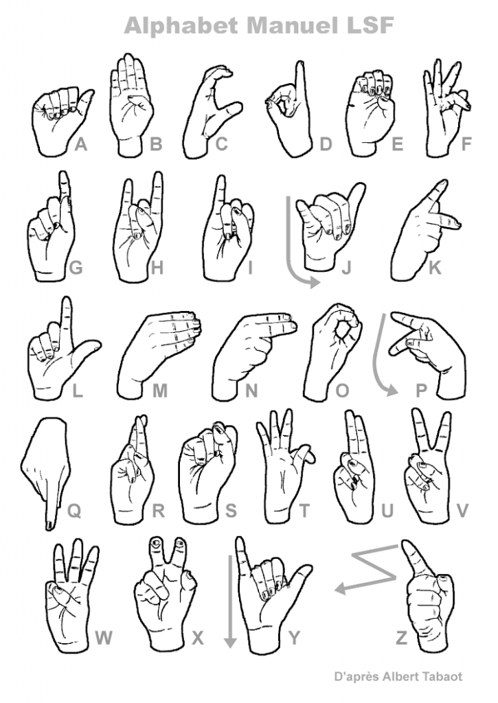 I.3.1 Qu’est-ce que la LSF